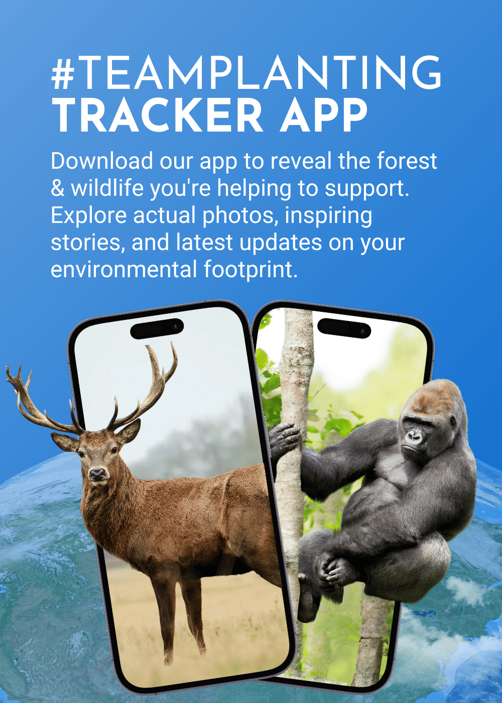 TeamPlanting Tracker - Reveal your forest & wildlife story
