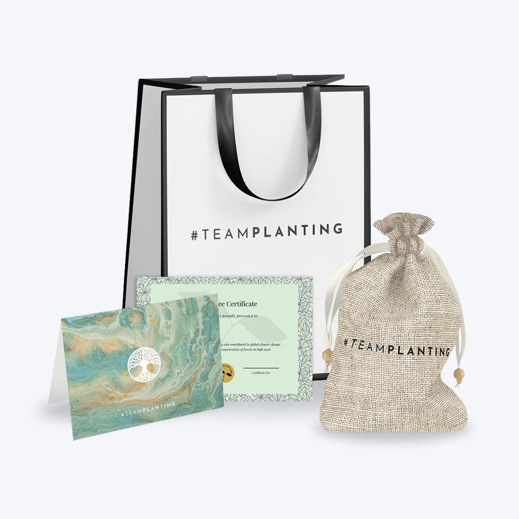 Premium Gift Kit