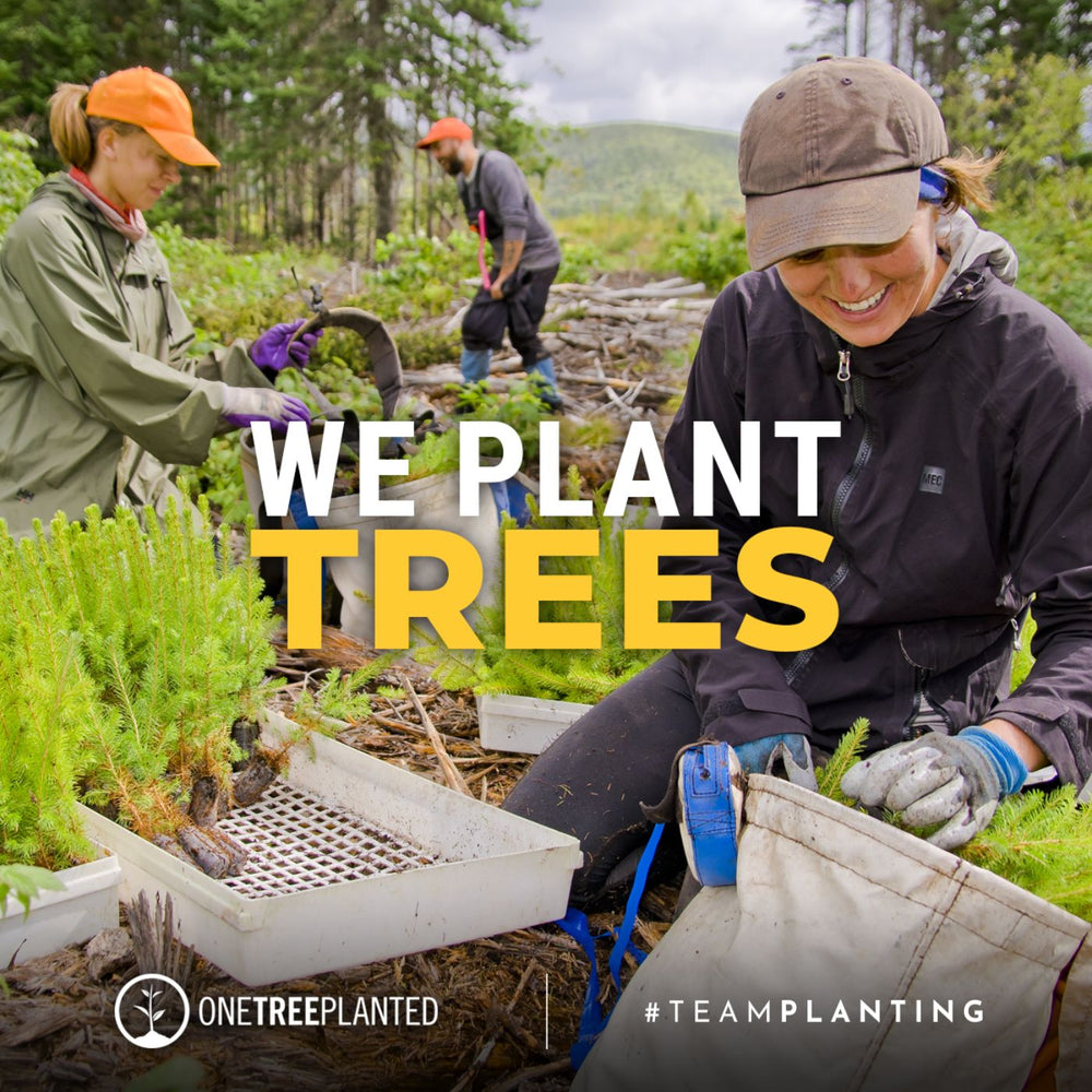 How is This Bracelet Planting Trees?