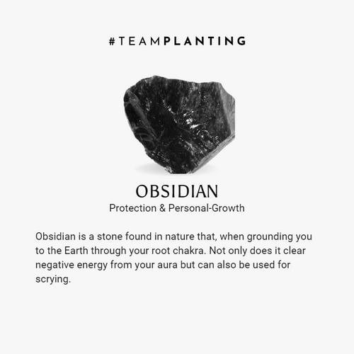 Dark Orb Obsidian Necklace