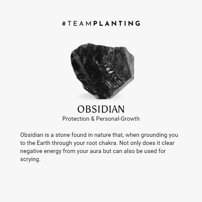 Solar Obsidian Necklace